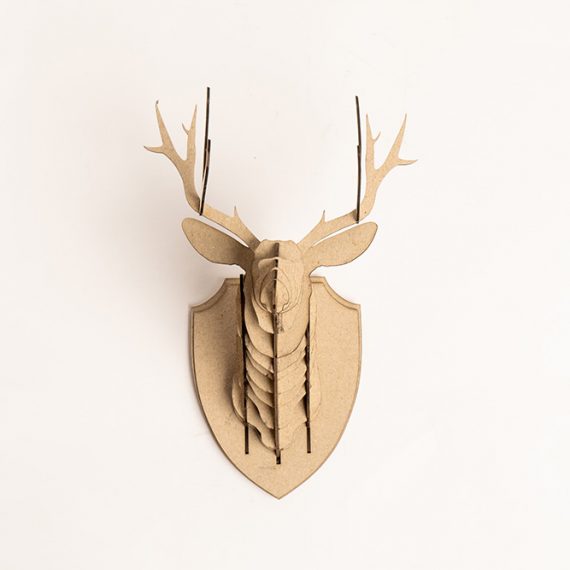 HEXA | FLUX Official: Smart Laser Cutters to Bring Your Designs to Life