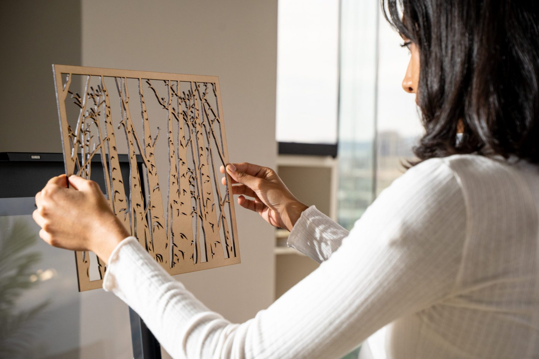 Business in Laser Application